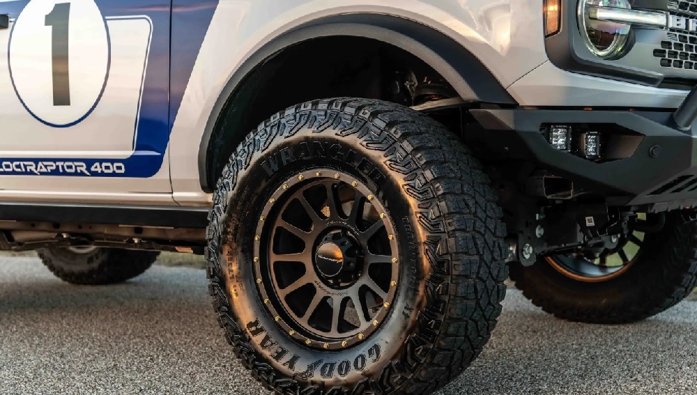 StriveME - يوم تجعل الوحش أكثر توحشًا: هيينسي فيلوسيرابتور 500 برونكو